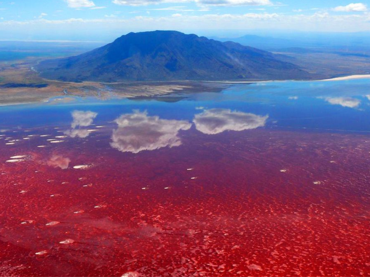Lake Natron: The Deadly Yet Beautiful Lake That Turns Animals into Stone